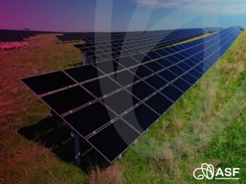 La granja solar más grande del mundo - ASF